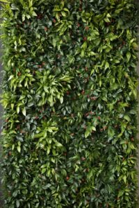 Top 15 Easy Backdrop Ideas DIY [Budget Friendly] – craftydiyers.com