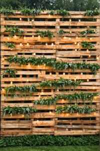 Top 15 Easy Backdrop Ideas DIY [Budget Friendly] – craftydiyers.com