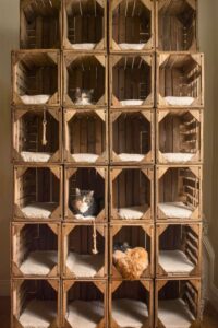 25 DIY Cat Tower Ideas [Make At Home] – craftydiyers.com