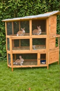 Top 15 DIY Rabbit Cage [Budget Friendly] – craftydiyers.com