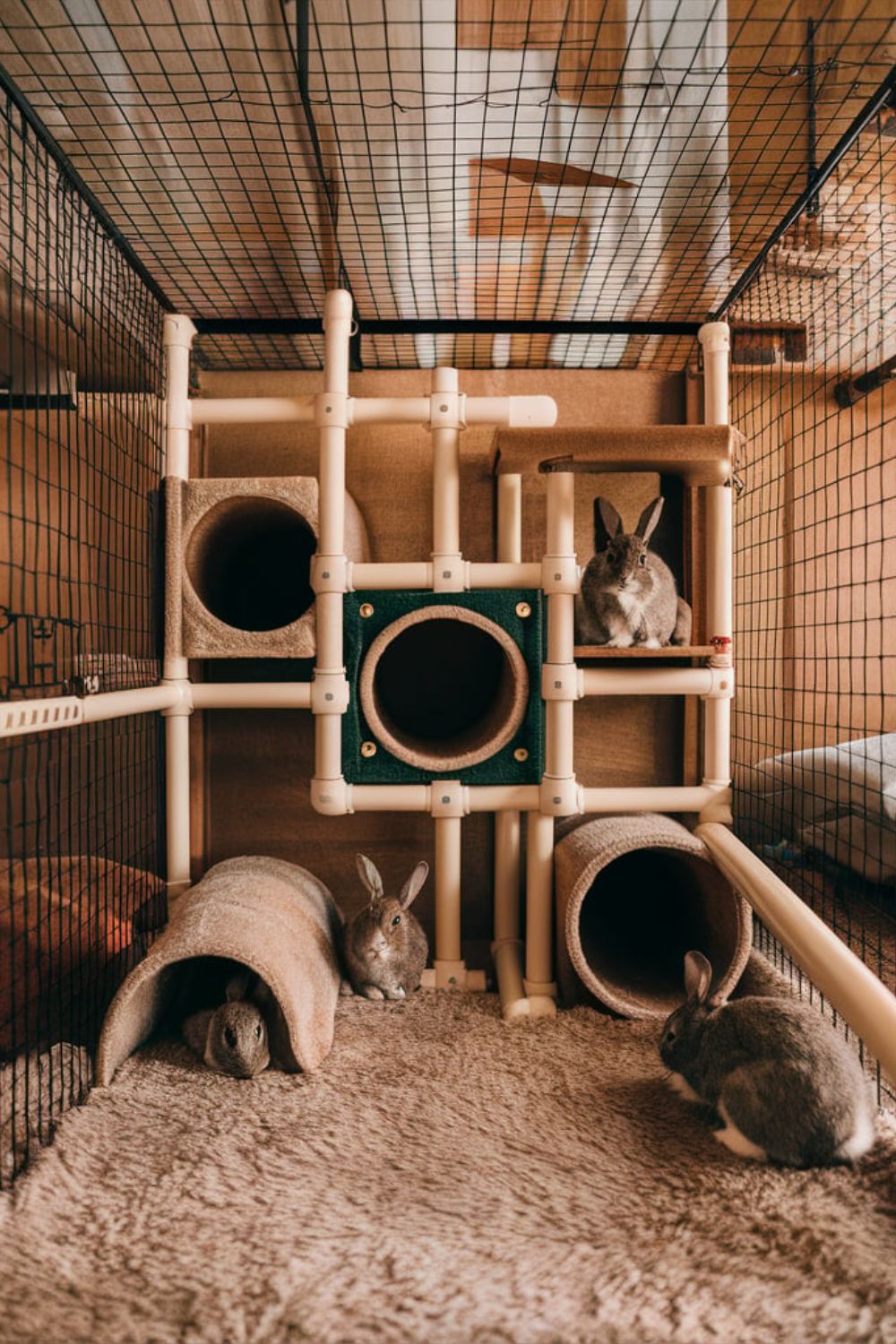 Top 15 DIY Rabbit Cage [Budget Friendly] – craftydiyers.com