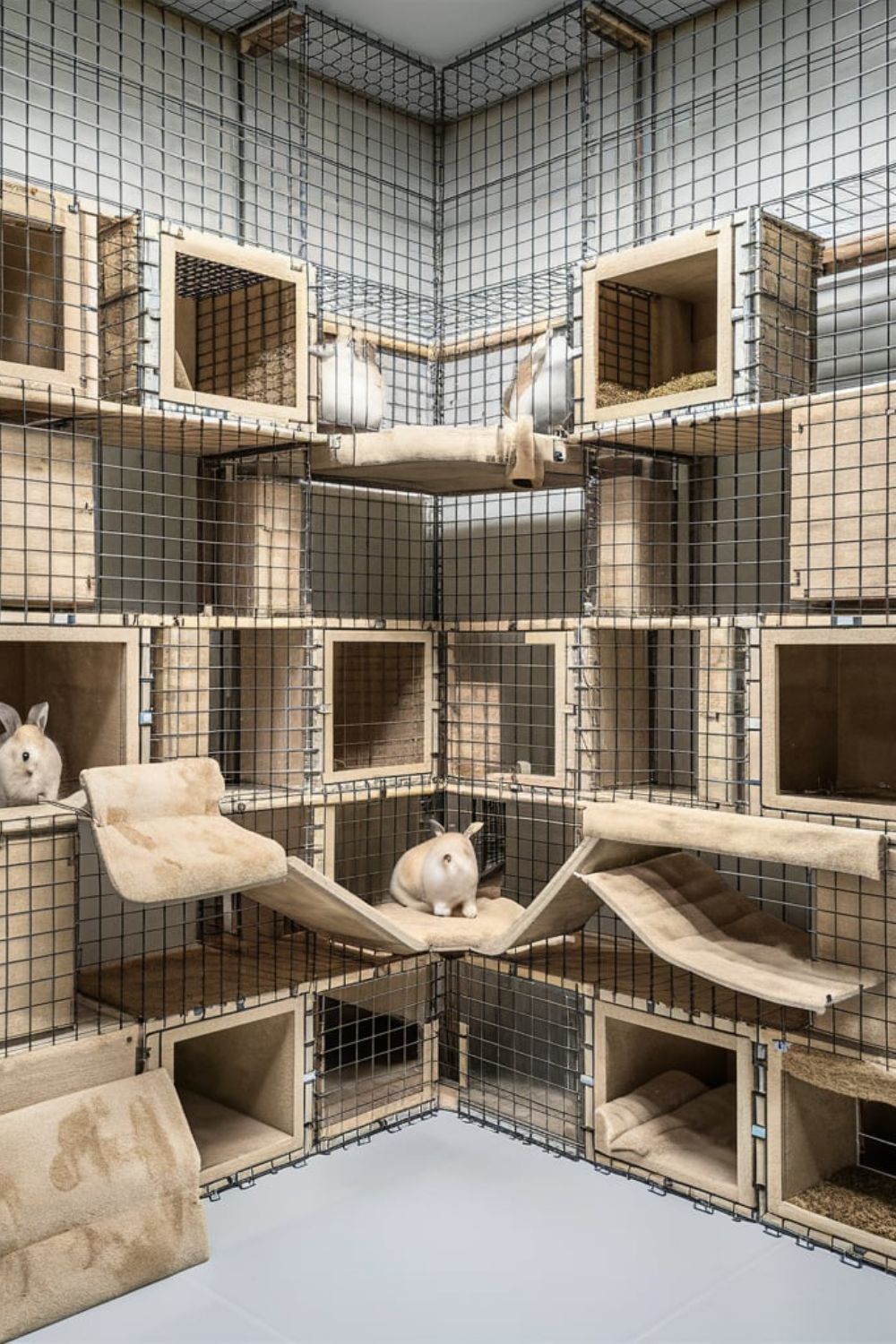 Top 15 DIY Rabbit Cage [Budget Friendly] – craftydiyers.com