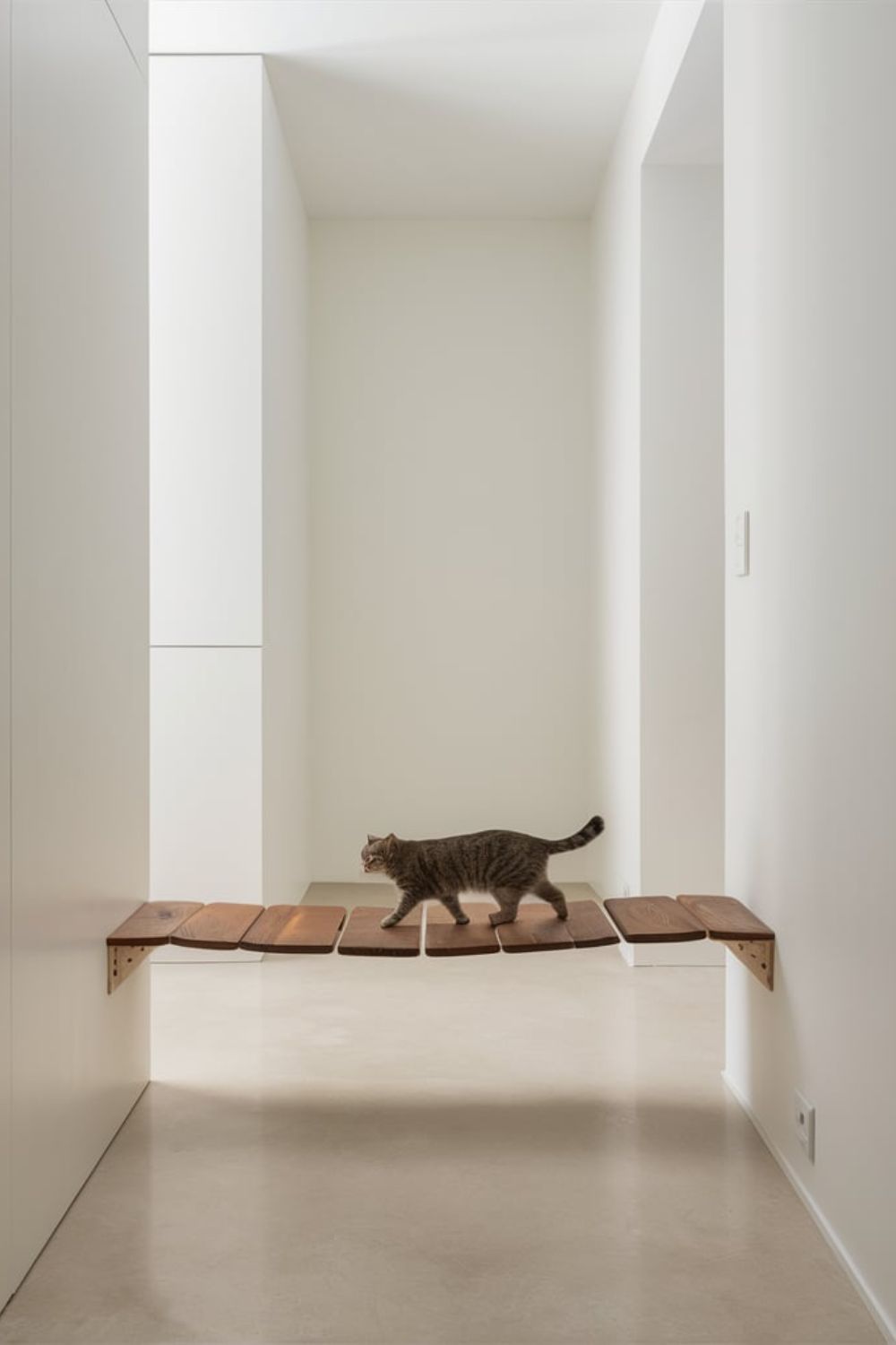 15 DIY Cat Bridge [Within Budget] – craftydiyers.com