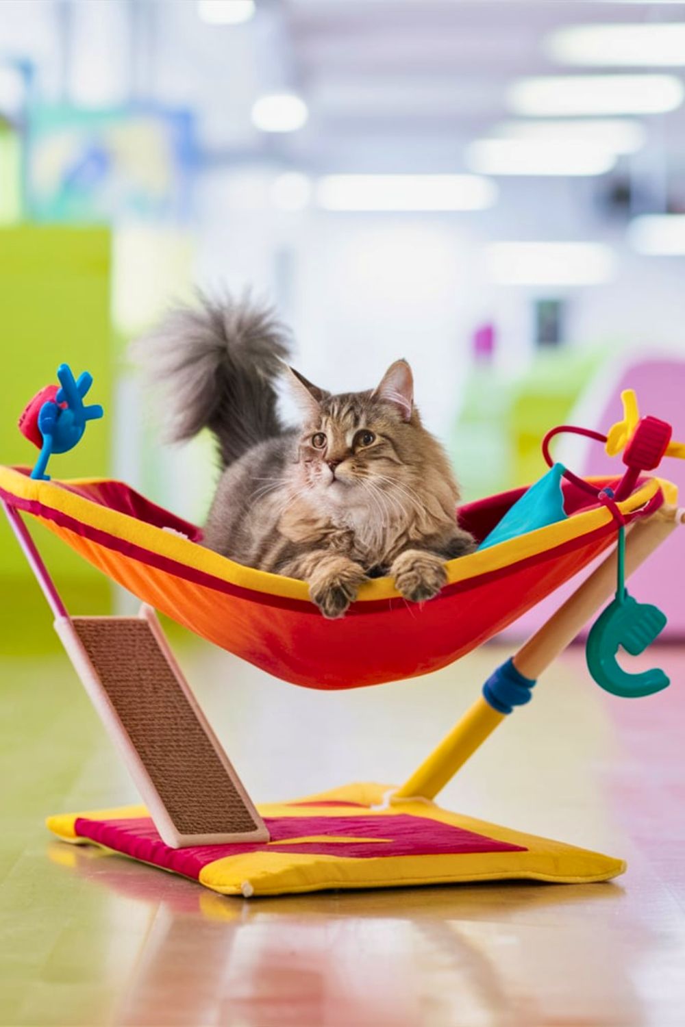 25 DIY Cat Hammock [Make Within Minutes] – craftydiyers.com