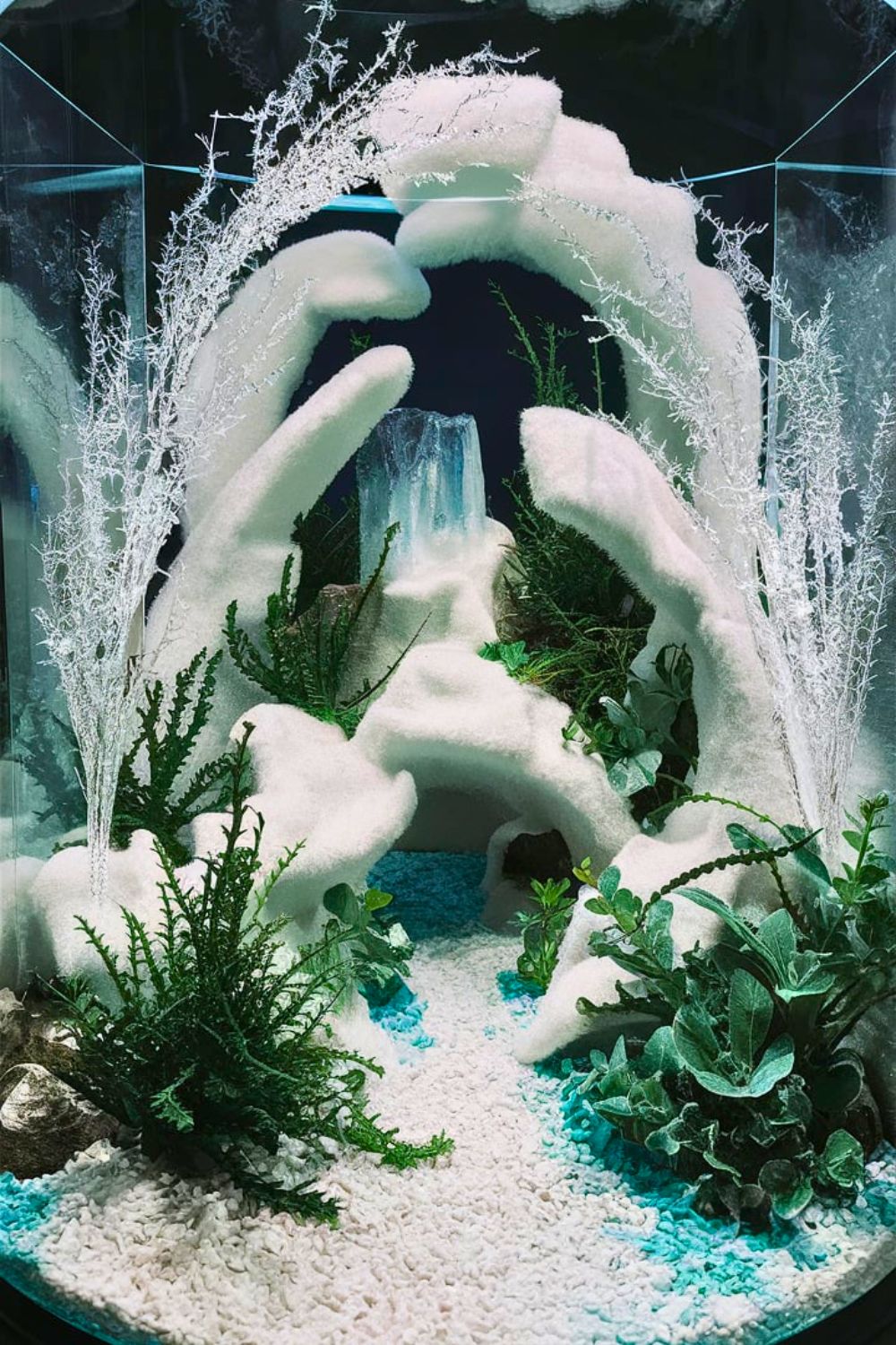 25 Bearded Dragon Terrarium DIY [Within Budget] – craftydiyers.com