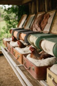 30 DIY Nesting Boxes For Chickens [For Every Coop] – craftydiyers.com