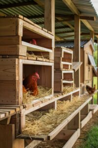 30 DIY Nesting Boxes For Chickens [For Every Coop] – craftydiyers.com