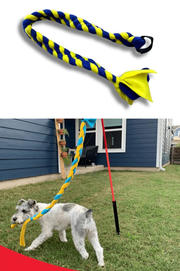 20 DIY Dog Toys [Easy To Make] – craftydiyers.com
