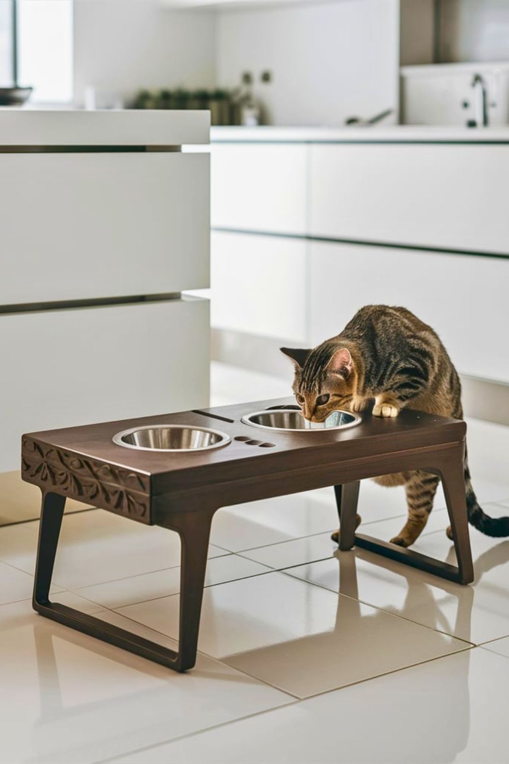 20 DIY Cat Stuff [To Make Felin Happy] – craftydiyers.com