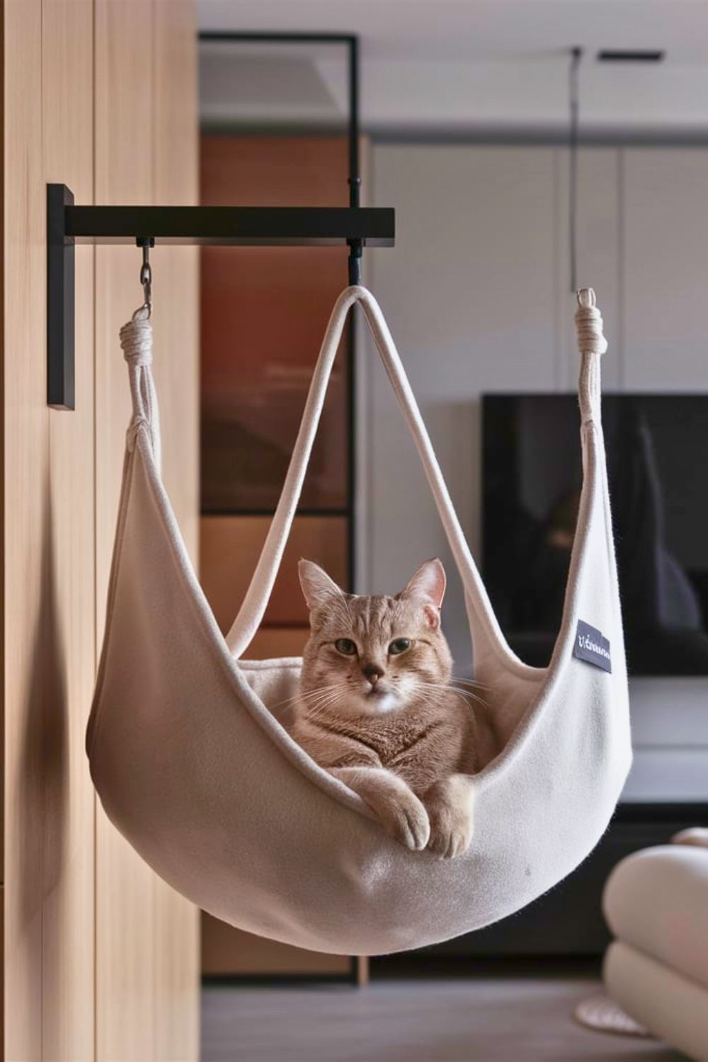 25 DIY Cat Hammock [Make Within Minutes] – craftydiyers.com