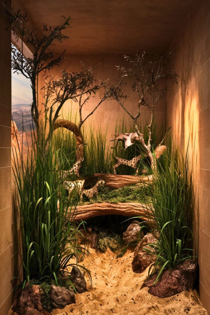 25 Bearded Dragon Terrarium DIY [Within Budget] – craftydiyers.com