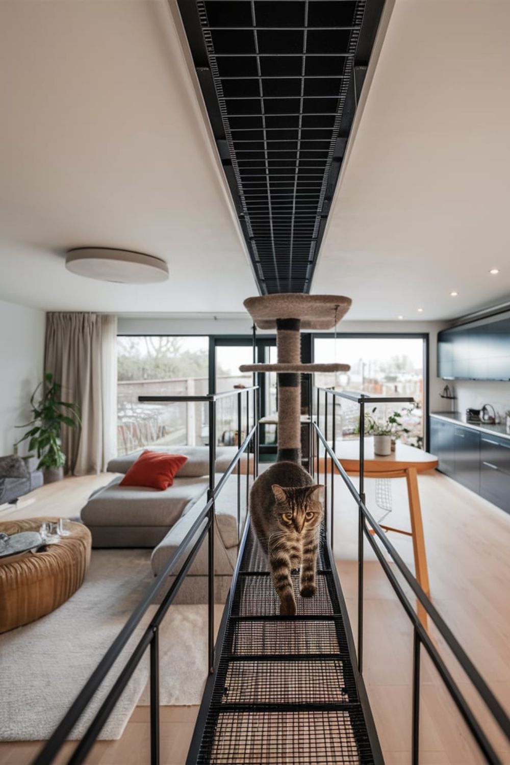 15 DIY Cat Bridge [Within Budget] – craftydiyers.com