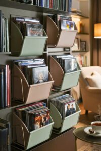 20 DVD Storage Ideas [Within Budget] – craftydiyers.com